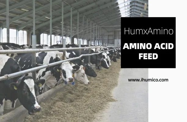 What Are Amino Acids? | Role for Plants & Animals - Potassium Humate ...